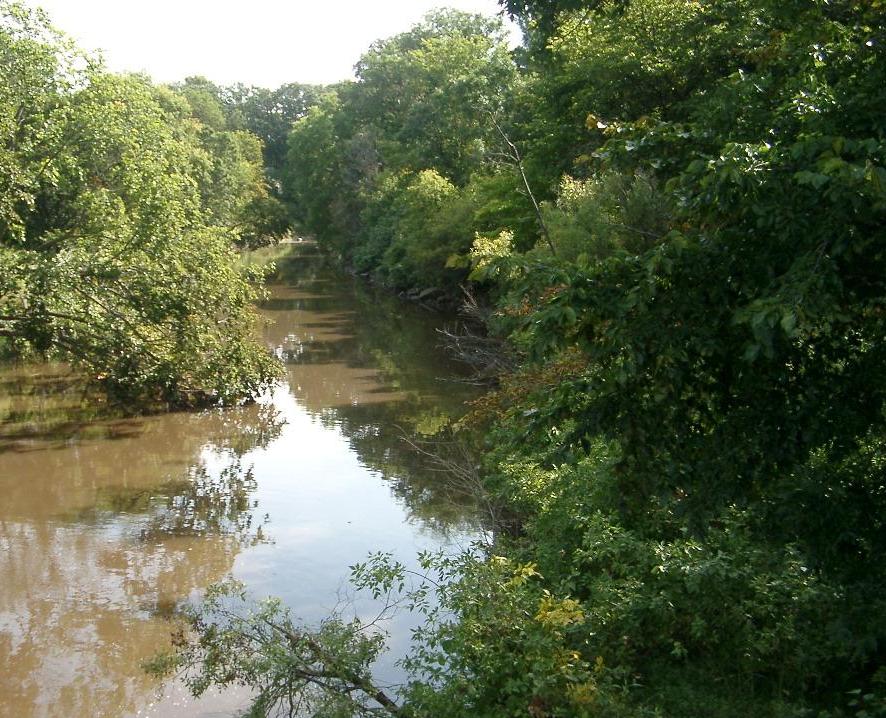 Riparian Forests – The Coalition to Save Lemay Forest